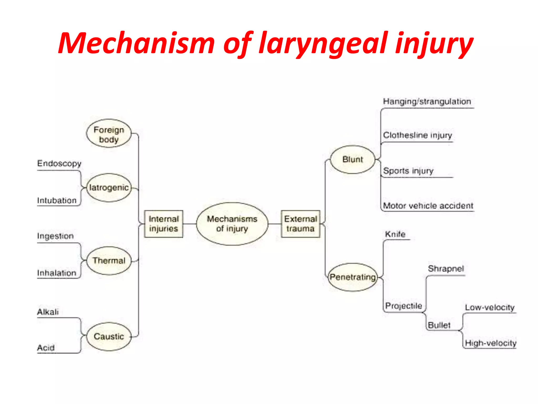 Laryngotracial trauma with anatomy and management | PPTX