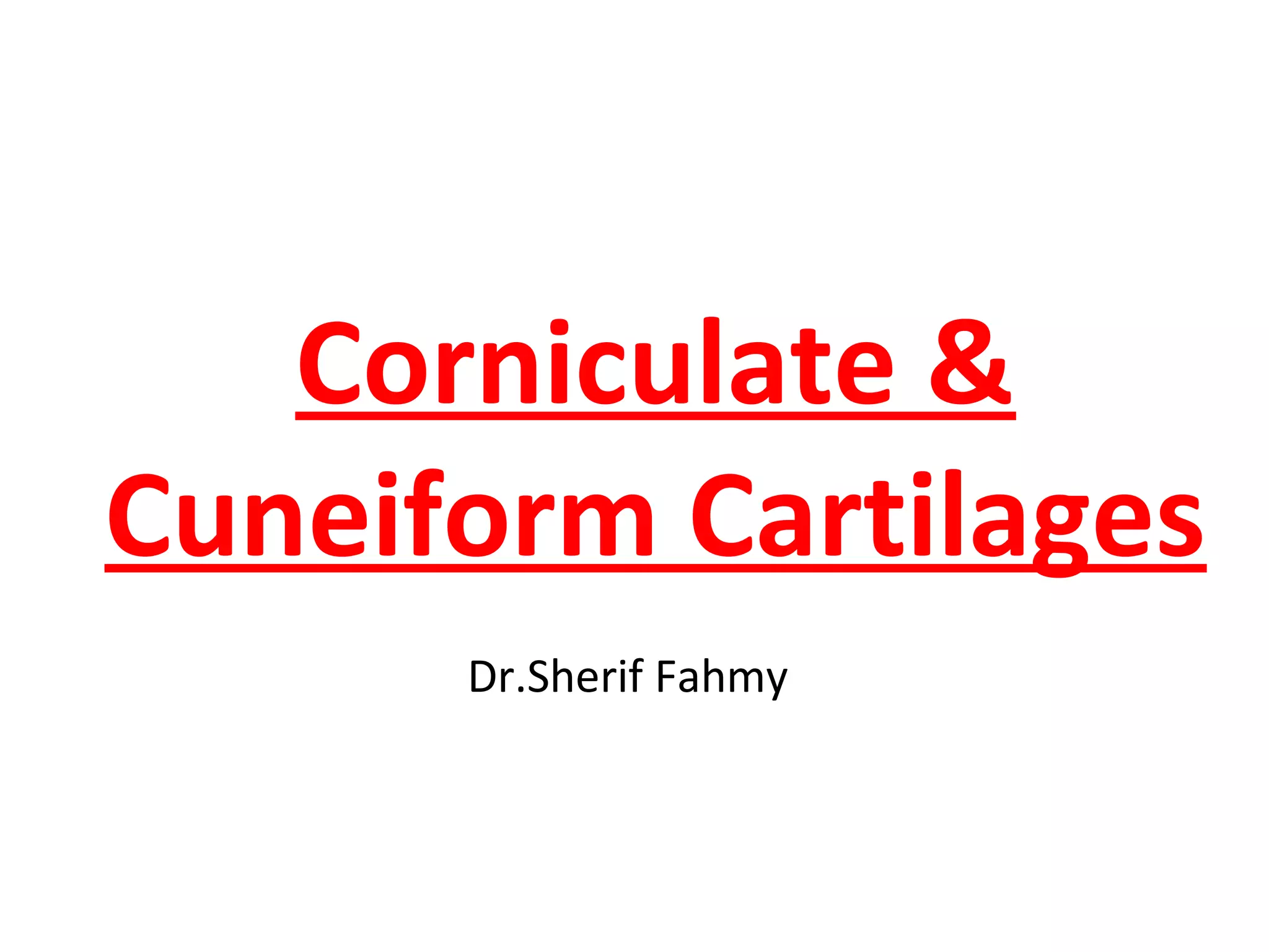 The Larynx (Anatomy of the Neck) | PPS