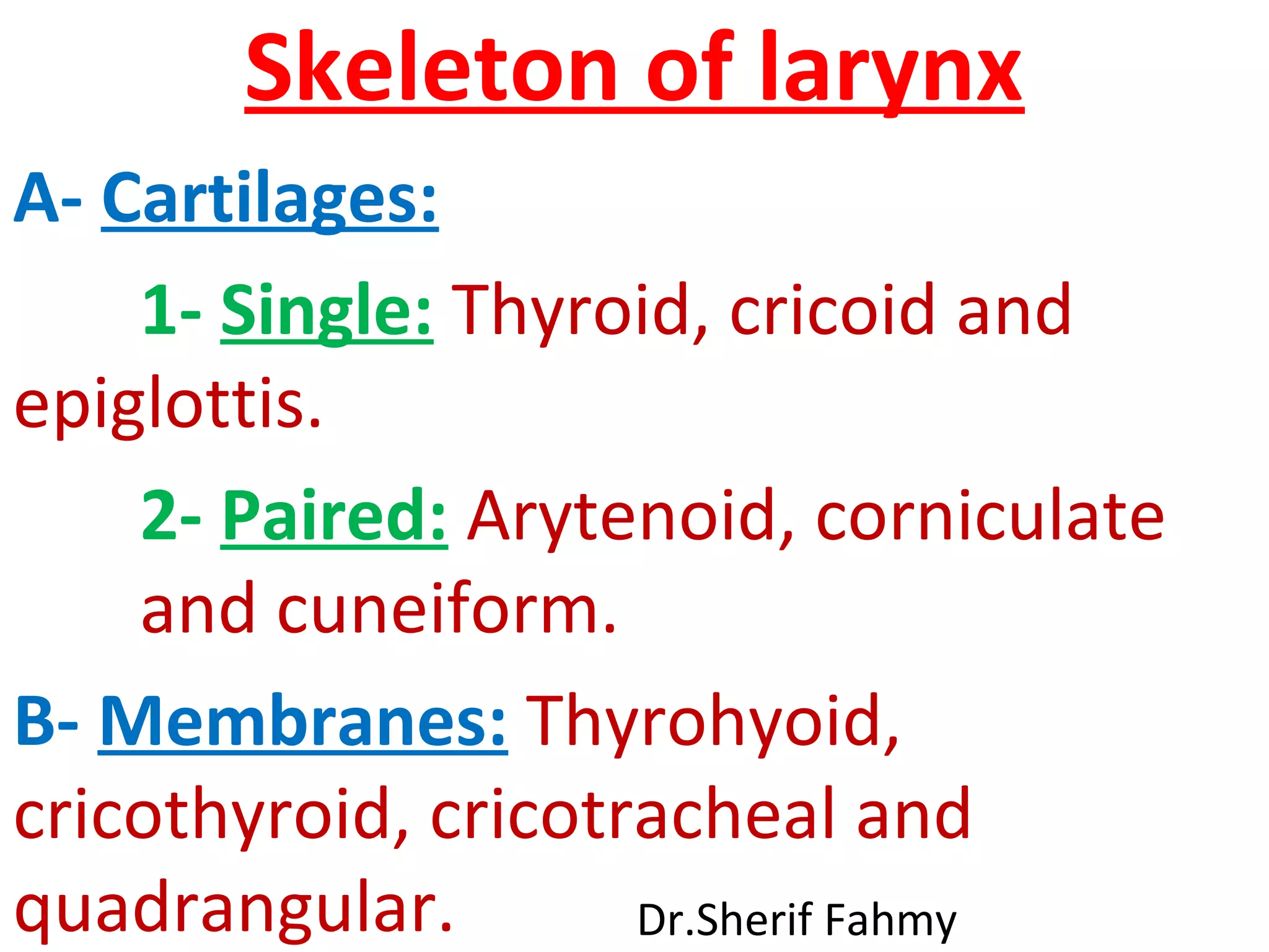 The Larynx (Anatomy of the Neck) | PPS