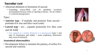 Larynx | PPTX