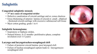 Larynx | PPTX