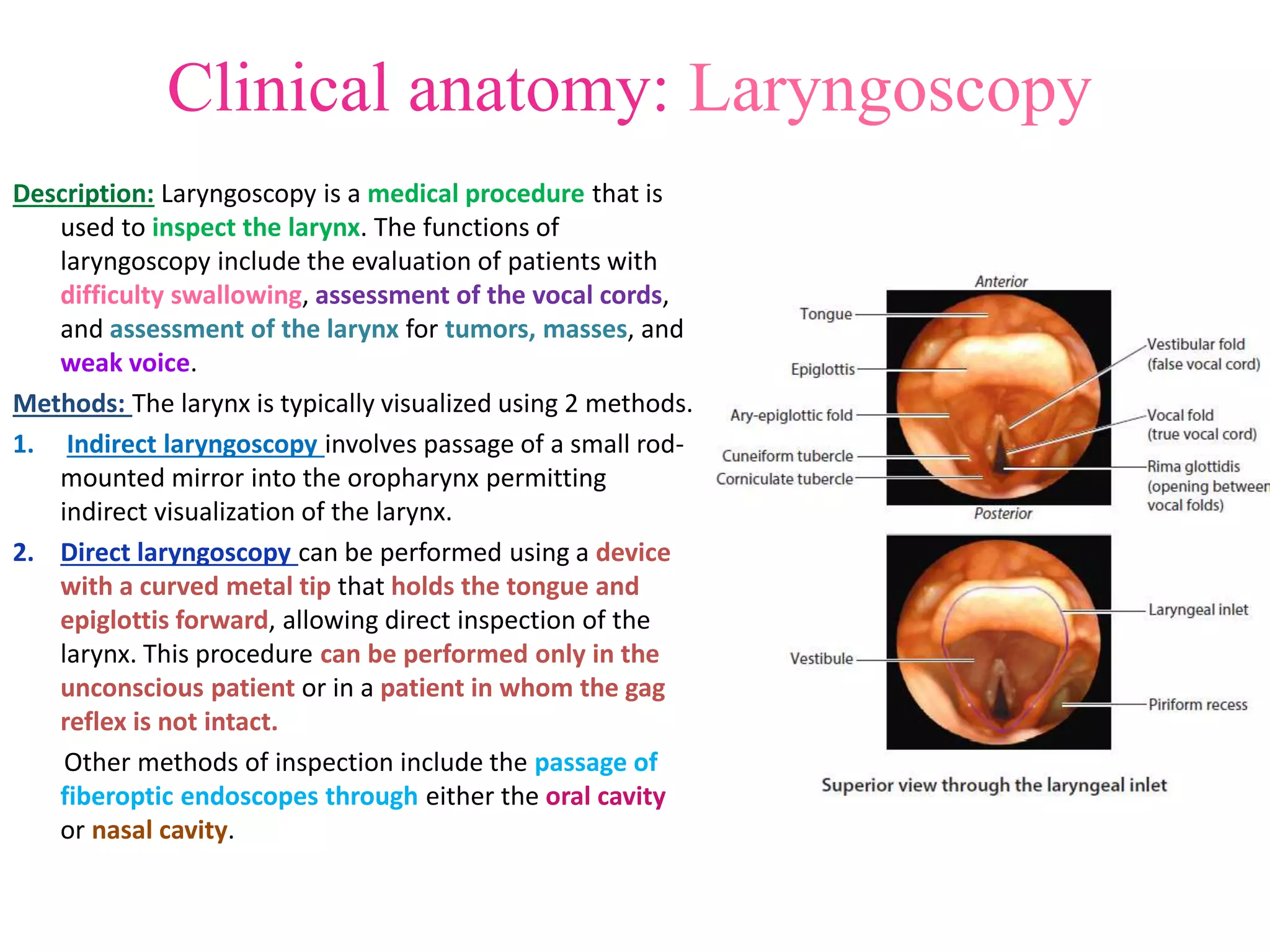 Anatomy & Functions of the Larynx | PPTX