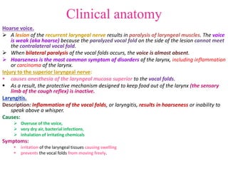Anatomy & Functions of the Larynx | PPT