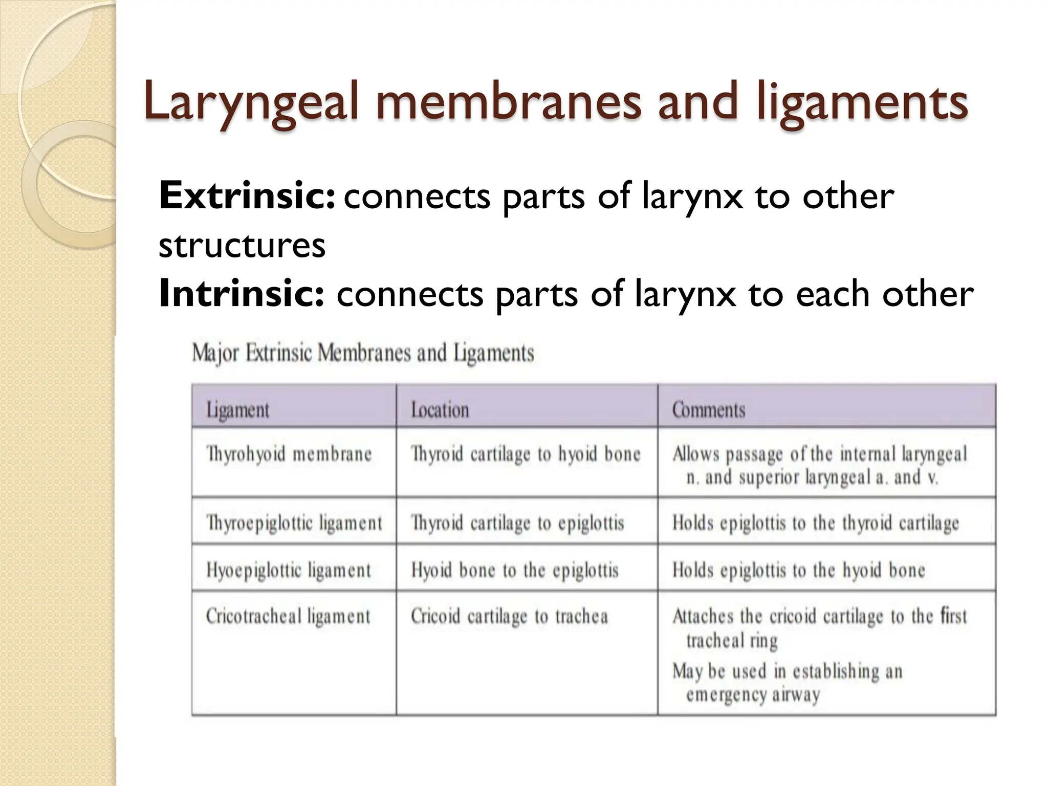 Anatomy of larynx(cartilages, joints, membranes and ligaments).pdf