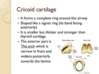 Anatomy of larynx(cartilages, joints, membranes and ligaments).pdf