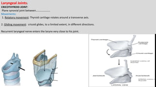 Larynx | PPTX