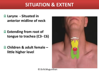 ANATOMY OF LARYNX -Prof.Dr.N.Mugunthan, KMMC.pdf