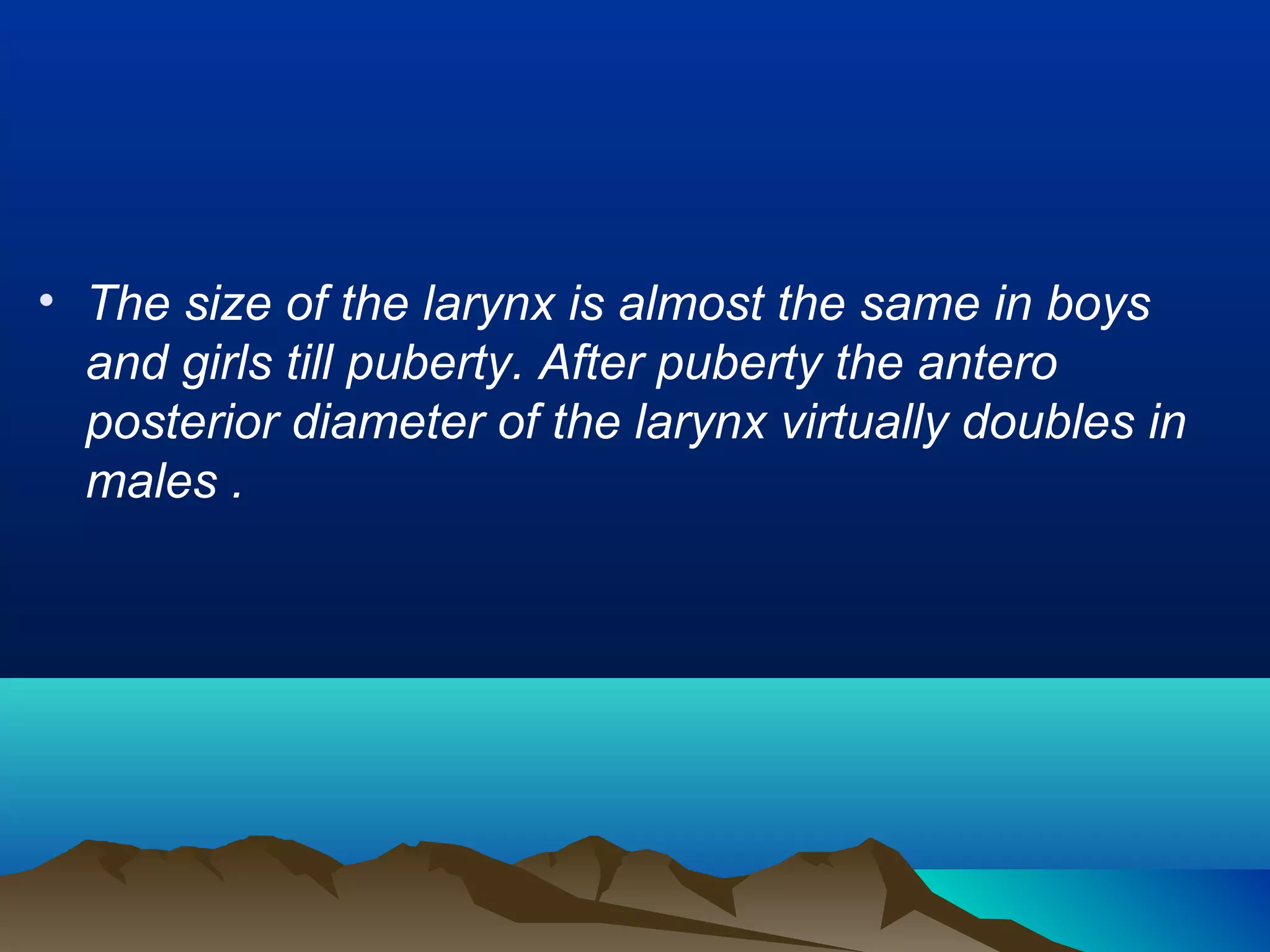 Larynx anatomy | PPT