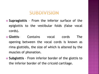 Anatomy of Larynx | PPTX