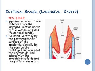 larynx anatomy.pptx | Thyroid Disorders | Endocrine and Metabolic Diseases