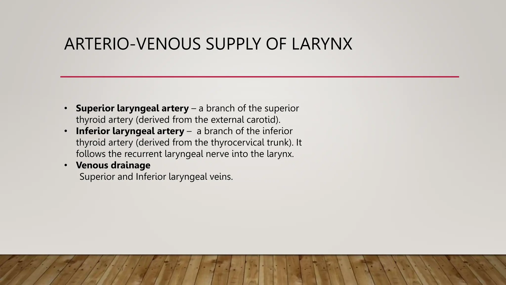 larynx anatomy.pptx