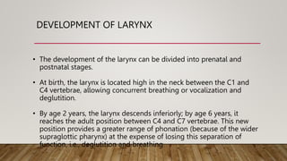 larynx anatomy.pptx