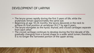 larynx anatomy.pptx