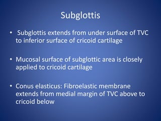 Larynx anatomy and laryngeal ca | PPTX
