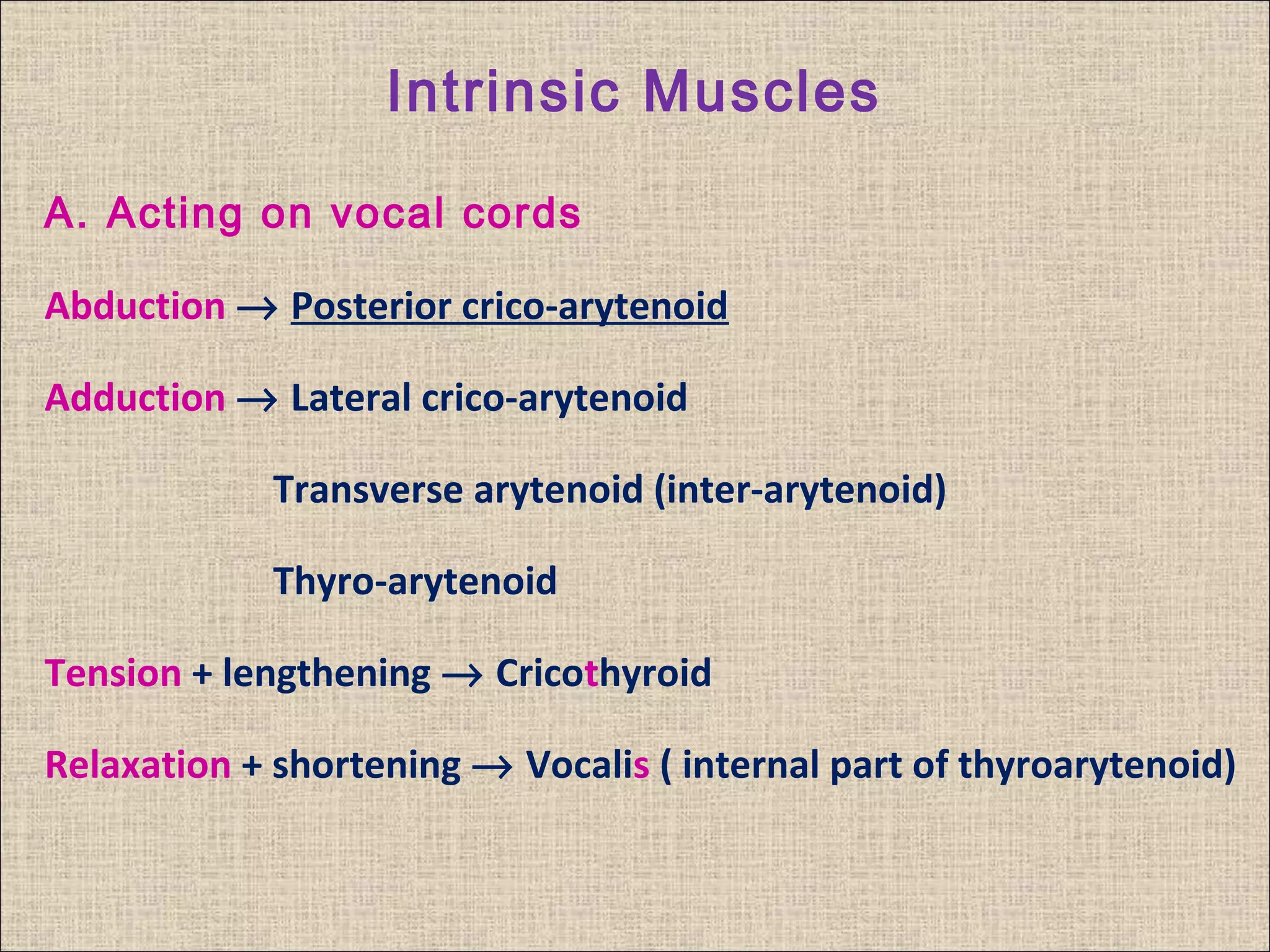 Clinical anatomy and physiology of larynx | PPT