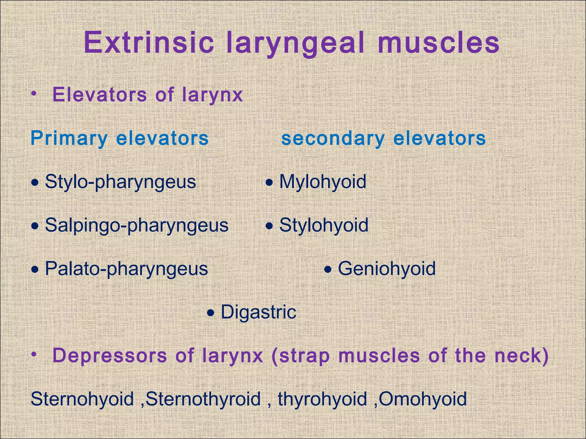 Clinical anatomy and physiology of larynx | PPT