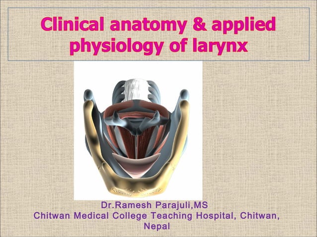 Clinical anatomy and physiology of larynx | PPT