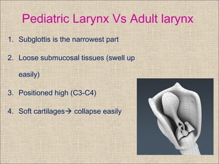 Clinical anatomy and physiology of larynx | PPT