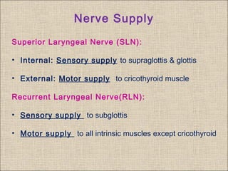 Clinical anatomy and physiology of larynx | PPT