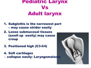 Larynx anatomy and physiology | PPT