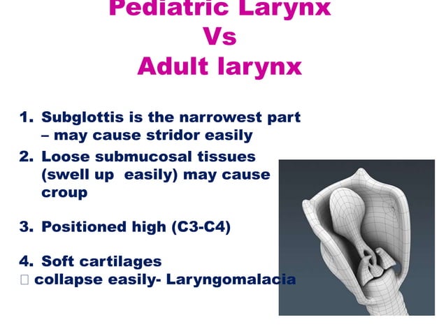 Larynx anatomy and physiology | PPT