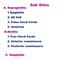 Larynx anatomy and physiology | PPT