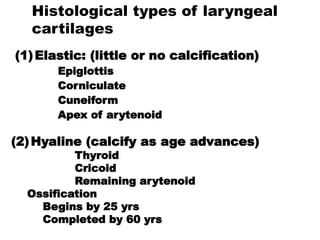 Larynx anatomy and physiology | PPT
