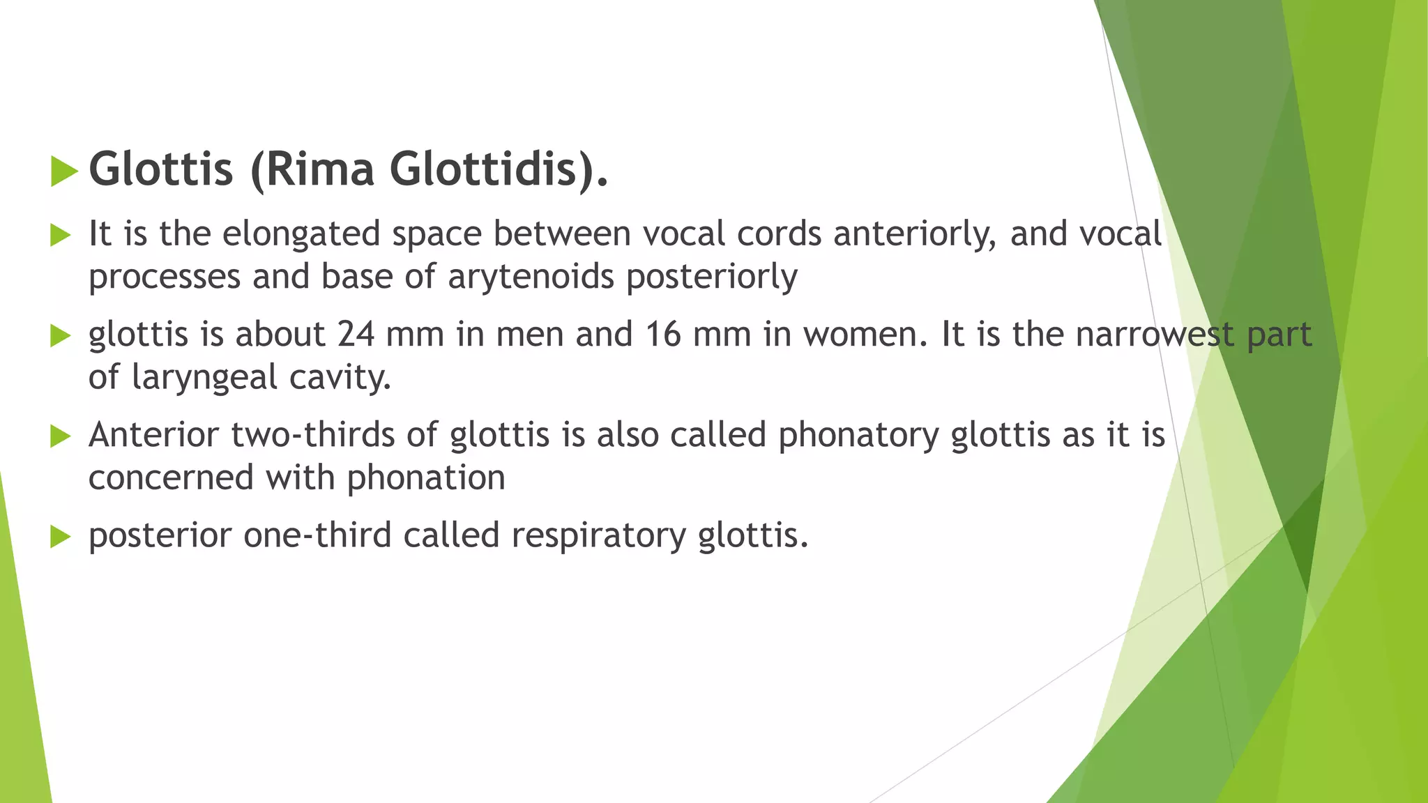 larynx anatomy.pptx