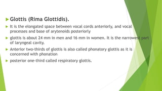 larynx anatomy.pptx