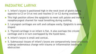 larynx anatomy.pptx