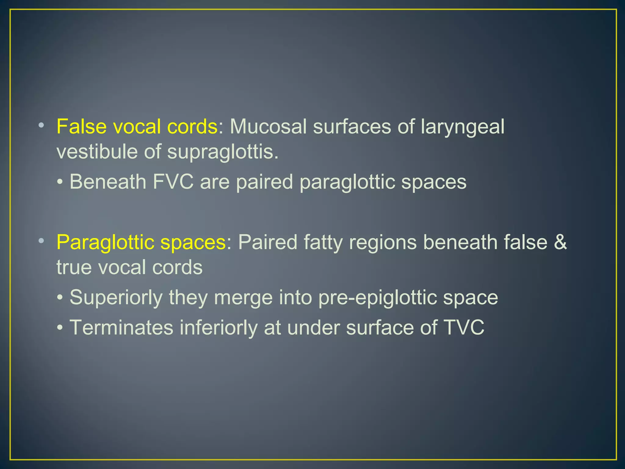Larynx anatomy ct and mri | PPT