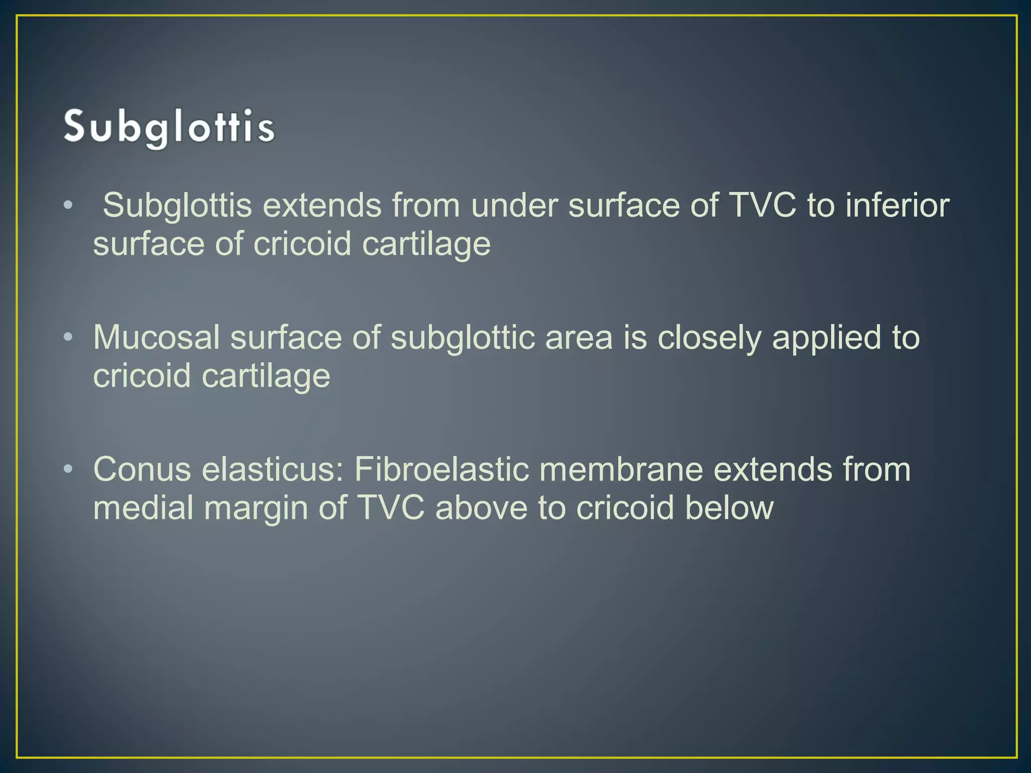 Larynx anatomy ct and mri | PPT
