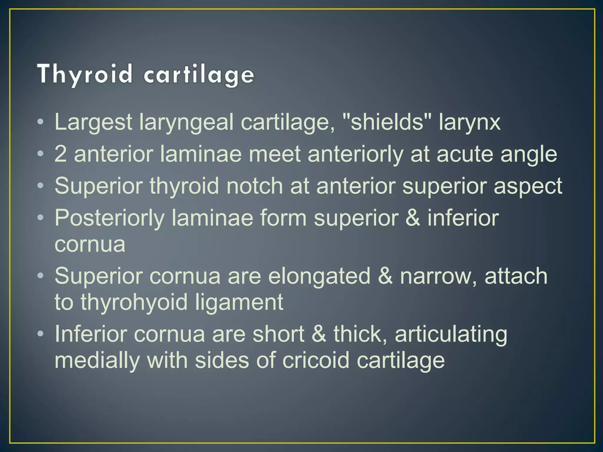 Larynx anatomy ct and mri | PPT