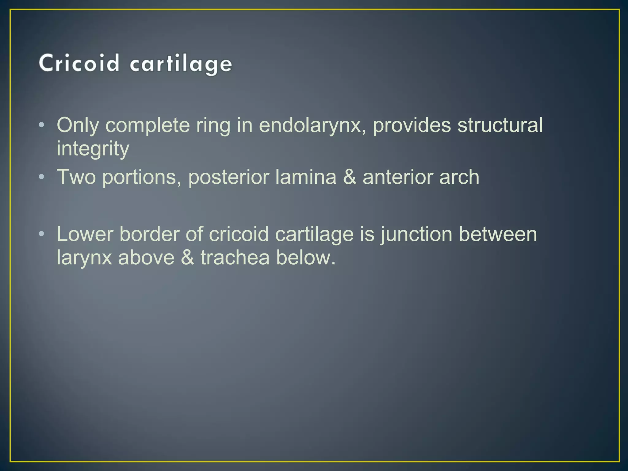 Larynx anatomy ct and mri | PPT