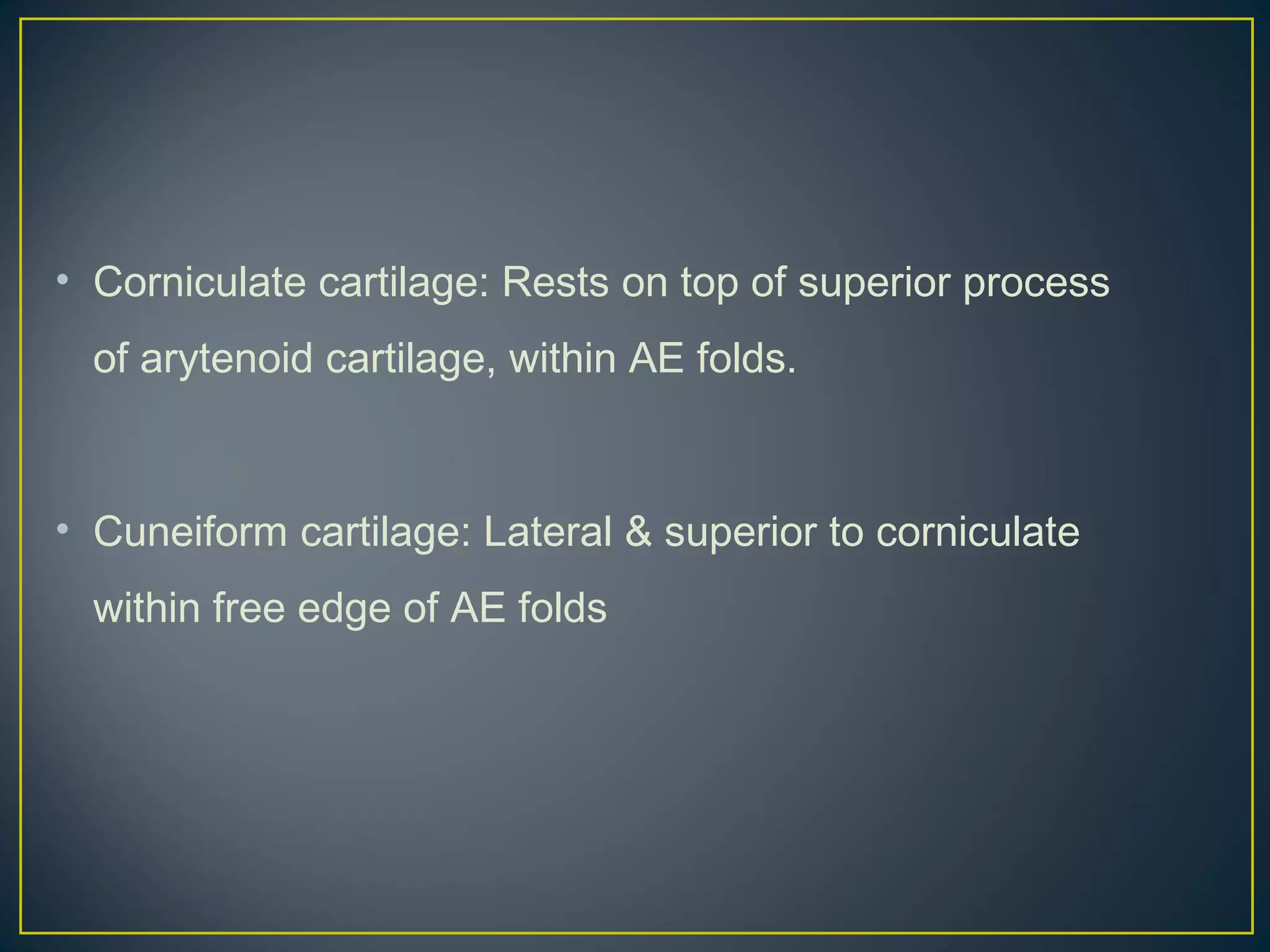 Larynx anatomy CT and MRI | PPT