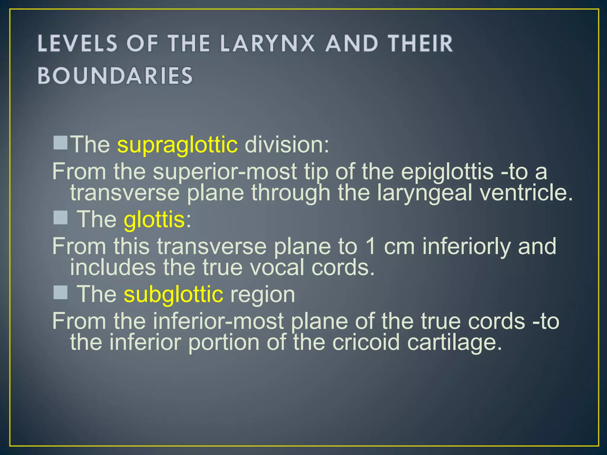 Larynx anatomy CT and MRI | PPT