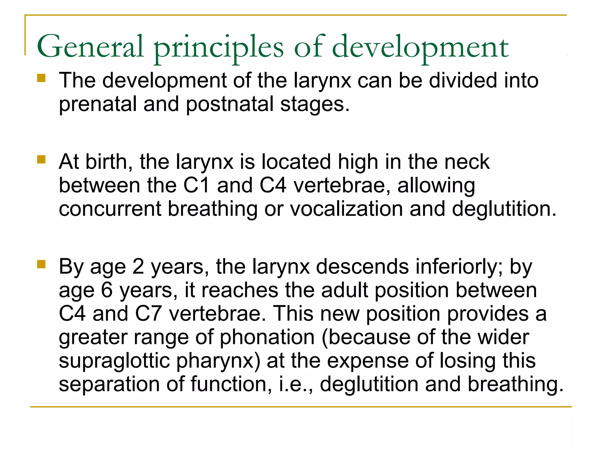 Larynx anatomy of larynx | PPT