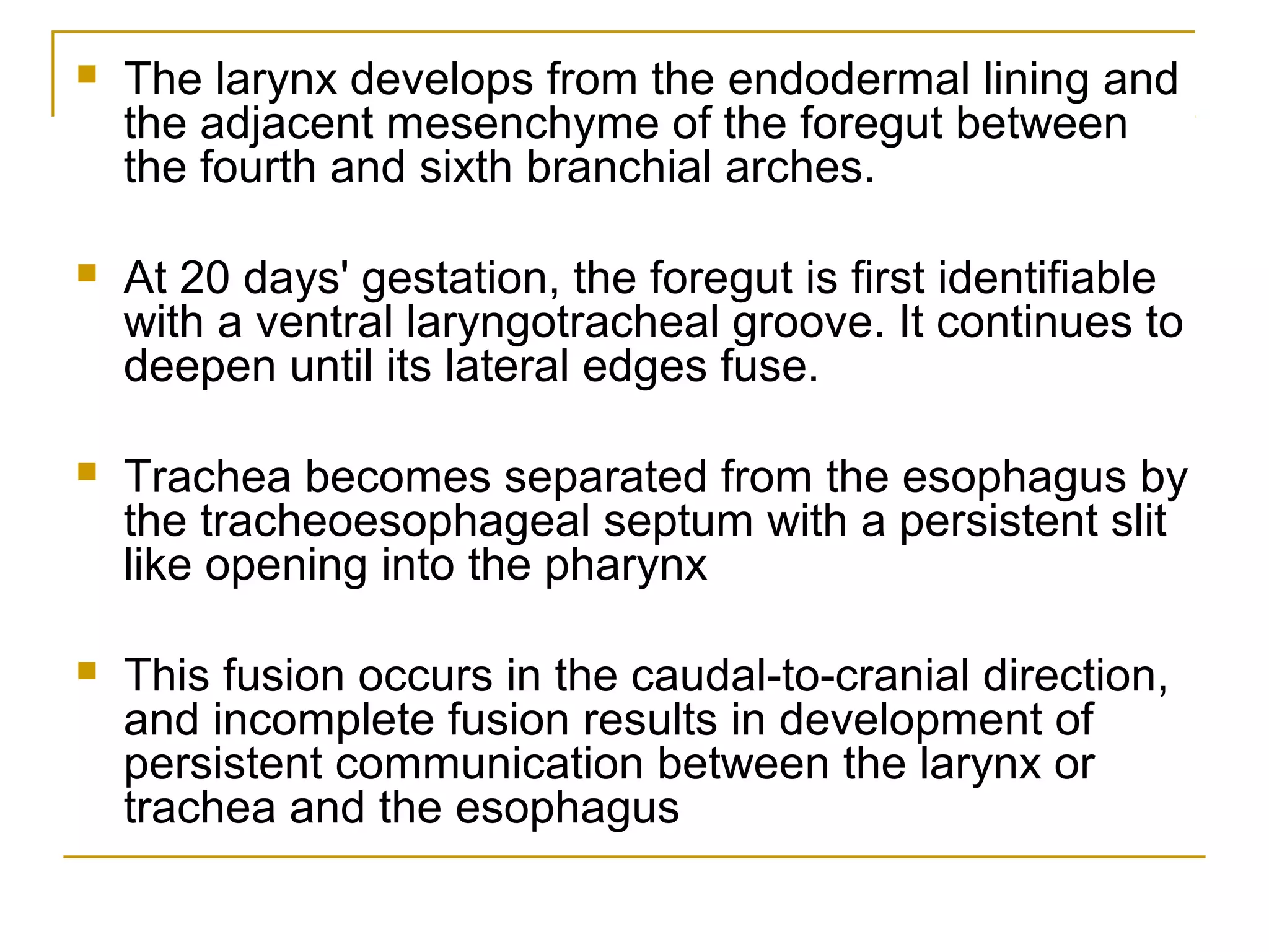 Larynx anatomy of larynx | PPT