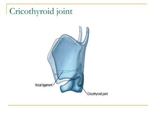 Anatomy of Larynx Dr Utkal Mishra | PPSX
