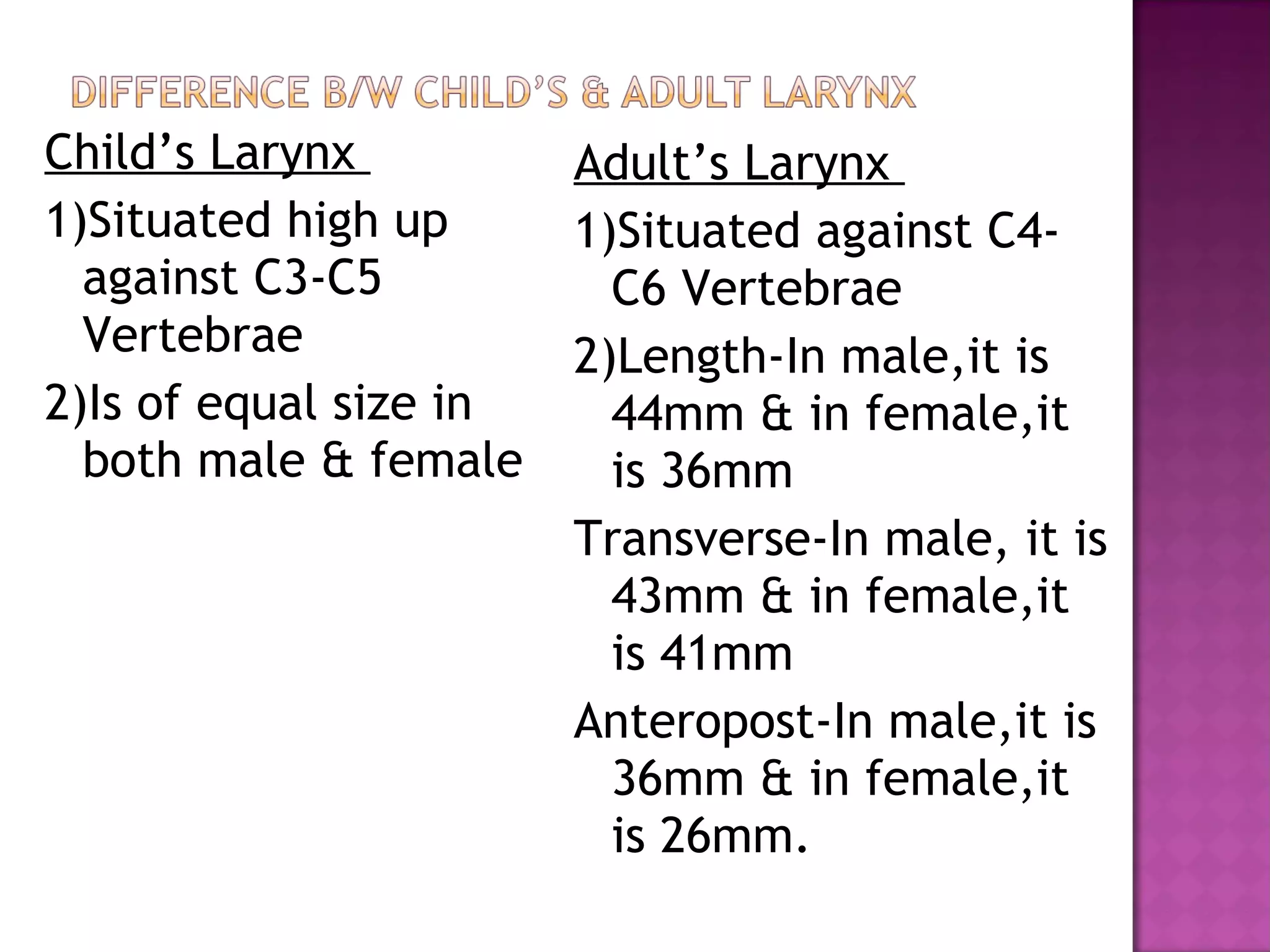Larynx anatomy of larynx (1) | PPT
