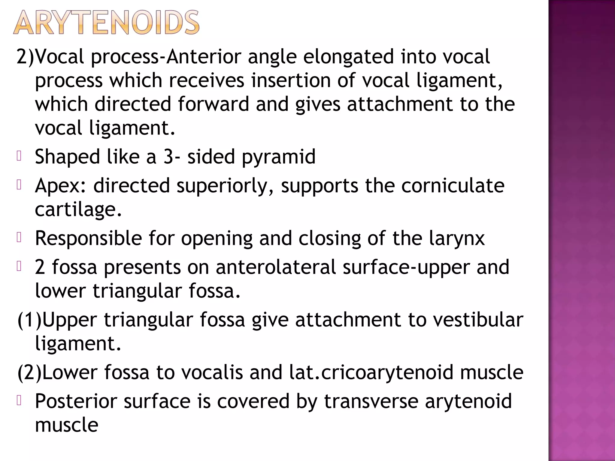 Larynx anatomy of larynx (1) | PPT