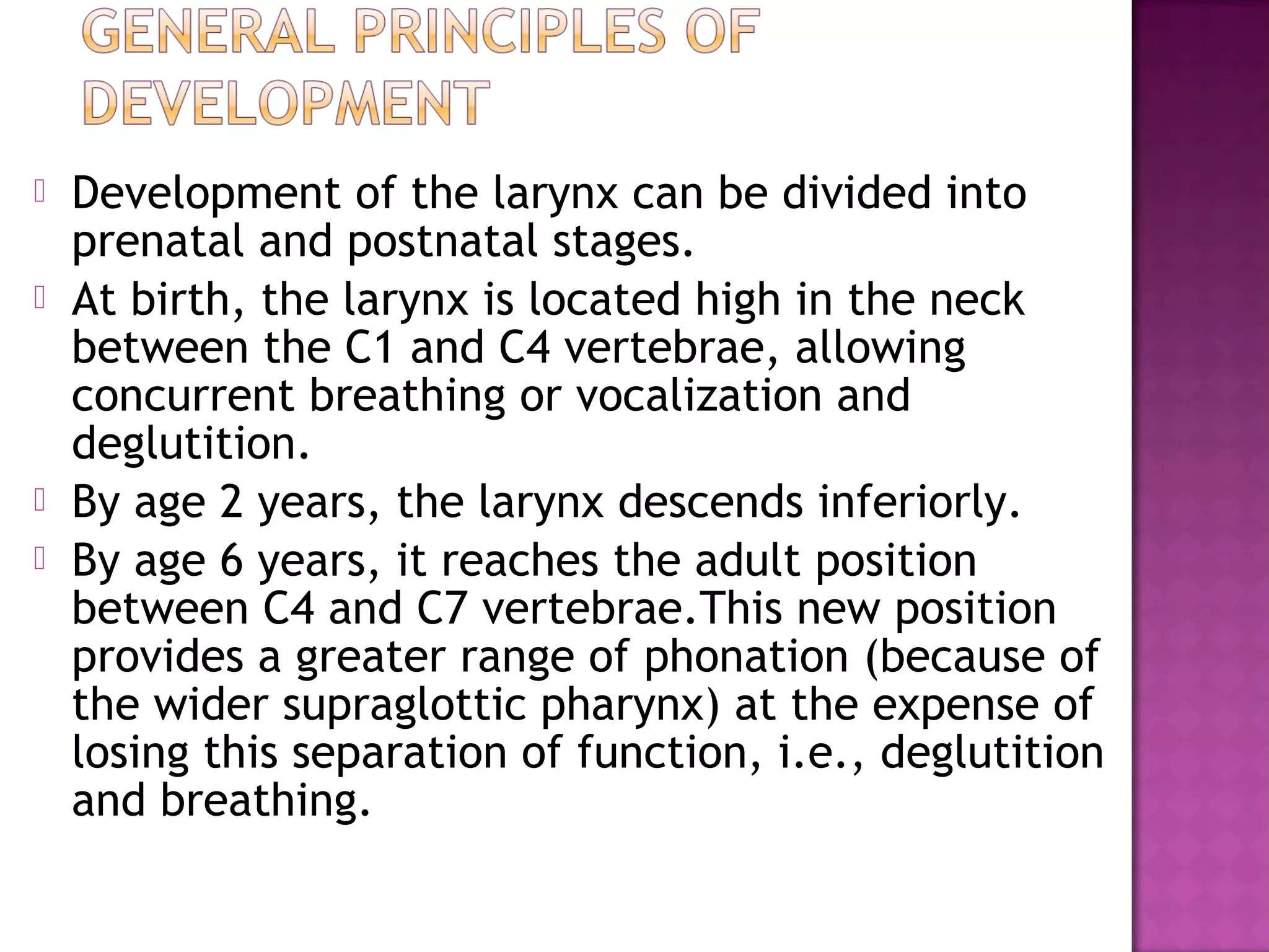 Larynx anatomy of larynx (1) | PPT