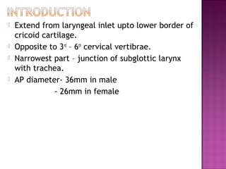 Larynx anatomy of larynx (1) | PPT