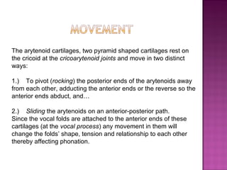 Larynx anatomy of larynx (1) | PPT