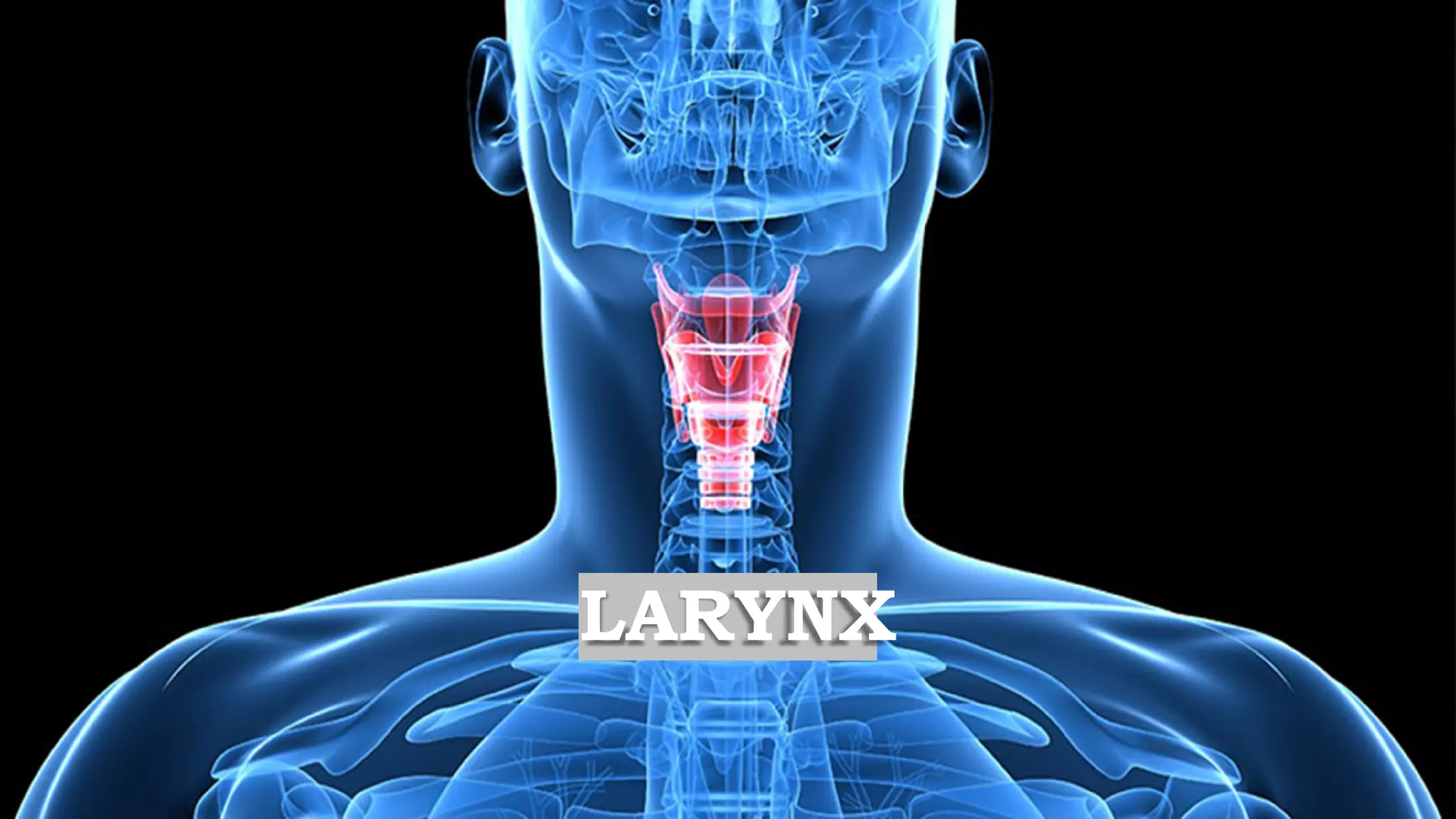 LARYNX AND TRACHEA.pdf