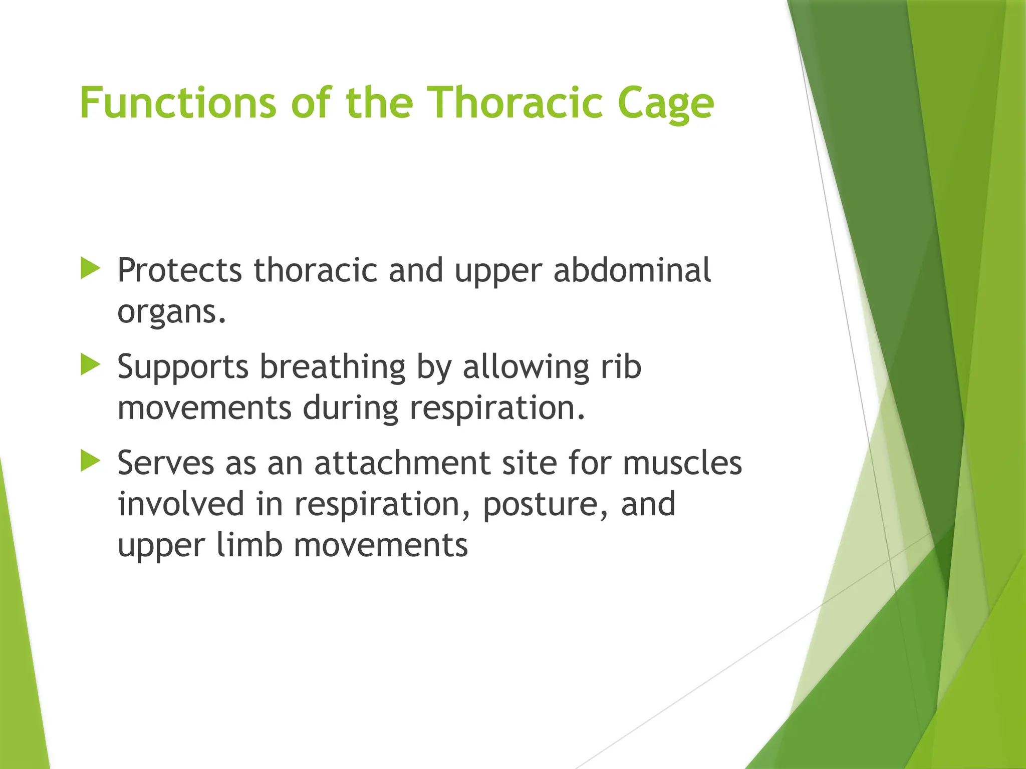 Larynx and Trachea,bronchial tree thoracic cage and intercoastal space.pptx