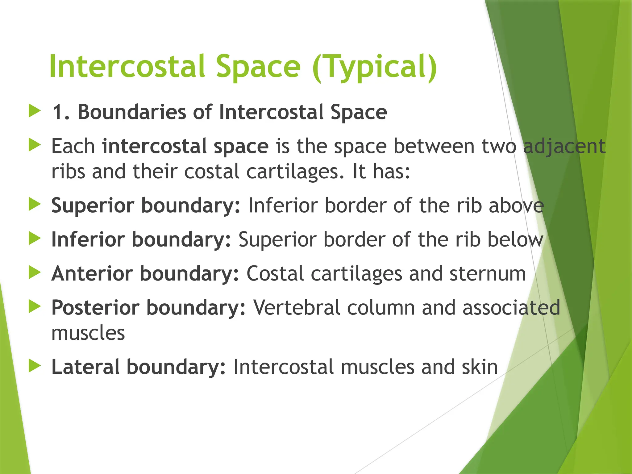 Larynx and Trachea,bronchial tree thoracic cage and intercoastal space.pptx