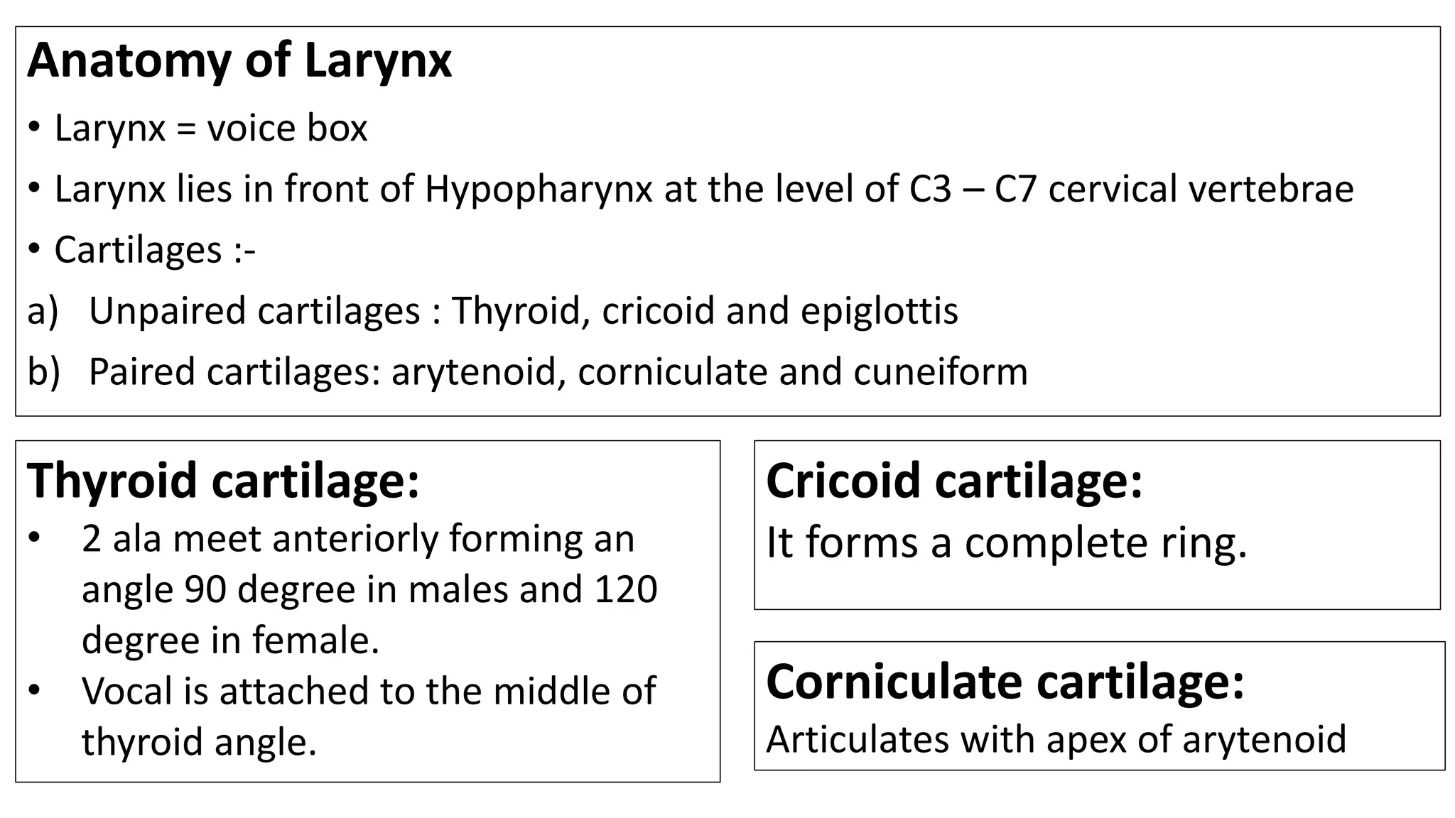 Larynx and upper airway.pptx | Thyroid Disorders | Endocrine and ...