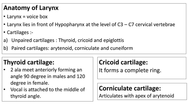 Larynx and upper airway.pptx | Thyroid Disorders | Endocrine and ...