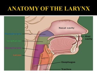 Larynx cancer.pptx